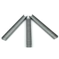 China 21 Gauge 1/2 Inch Fine Crown Pneumatic Staple 8012 for Furniture Decoration for sale
