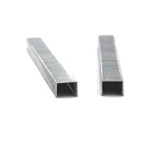 China 21 Gauge 1/2 Inch Fine Crown Pneumatic Staple 8012 for Furniture Decoration for sale