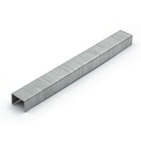 China 21 Gauge 1/2 Inch Fine Crown Pneumatic Staple 8012 for Furniture Decoration for sale