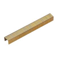 China 21 Gauge 1/2 Inch Fine Crown Pneumatic Staple 8012 for Furniture Decoration for sale