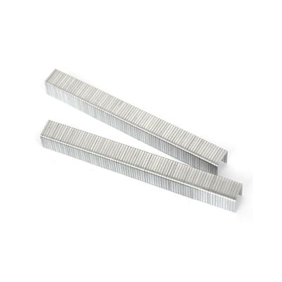 China 20 Gauge Fine Crown Air Staple A11-12 1/2in Length 10.80mm Crown for Furniture Decoration for sale