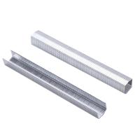 China STCR5019 Series 20 Gauge 11.60mm Crown Furniture Staple 12mm Length for Upholstery for sale
