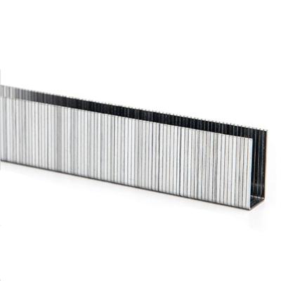 China 20 Gauge 1/2 Crown 6mm Wire Staples 1006J U Type Nail for Upholstery Furniture for sale