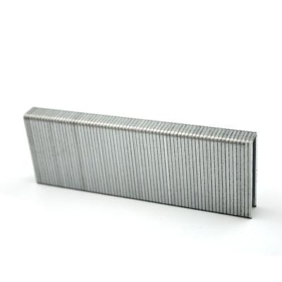 China 16 Gauge N Series Air Staple 7/16 Crown 10.8mm 50mm 2 inch for Furniture Decoration for sale