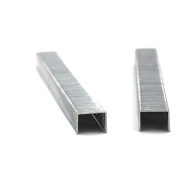 China 21 Gauge 80 Series Fine Crown Staple 12.8mm Crown 6mm Length for Pneumatic Furniture Decoration for sale