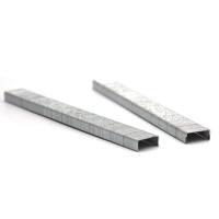 China 21 Gauge 80 Series 3/8 Crown 10mm Furniture Decoration Staple 8010 Steel 0.65mm Thickness for sale