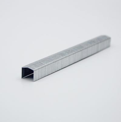 China 20 Gauge 11.50mm Crown 6mm Furniture Staple STCR5019 Series Steel U-Type Nail for sale