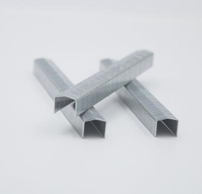 China STCR5019-8 Furniture Wire Staples 20 Gauge 11.50mm Crown 8mm for Woodworking for sale