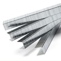 China 20 Gauge 10J Series Steel Wire U-Type Nail 1008J 13mm Length for Furniture Decoration for sale