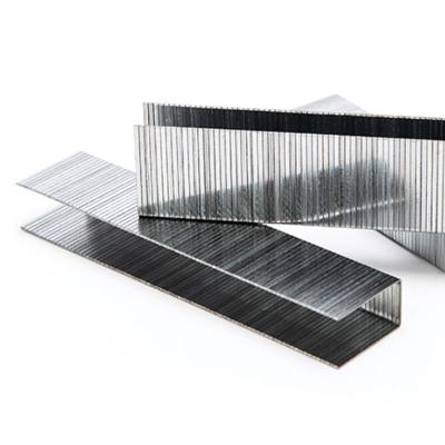 China 20 Gauge 10J Series Staples 11.2mm Crown for Furniture Upholstery 1008J for sale