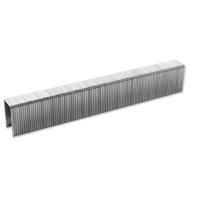 China 20 Gauge 11.2mm Crown U Type Nail Staples 1013J 13mm for Furniture Decoration for sale