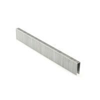 China 18 Gauge 5.5mm Crown U-Type Nail Staple 38mm Length 9038 for Furniture Decoration for sale