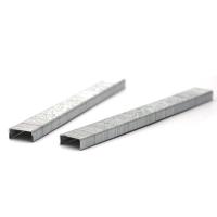 China 21 Gauge Pneumatic Staple 1/4 Crown 6mm 8006 Steel U-Type Nail for Furniture Decoration for sale