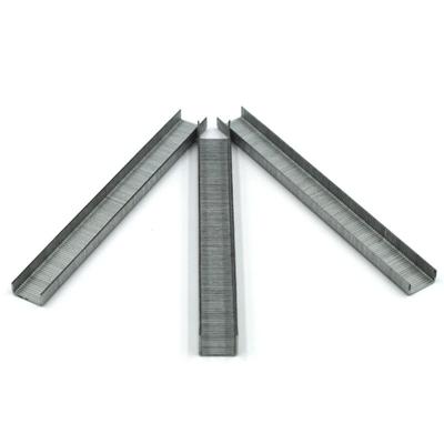 China 21 Gauge Steel Fine Crown Staple 5/16 Inch 8mm 8008 for Furniture Decoration for sale