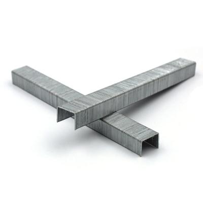 China 21 Gauge 80 Series Fine Crown Staple 12.8mm Crown 10mm Length for Furniture Decoration for sale