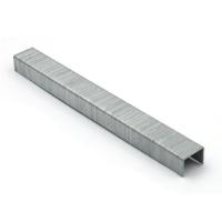 China Steel Pneumatic Staple 21 Gauge 3/8 Crown 10mm 80 Series 8010 for Furniture Decoration for sale