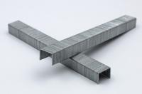 China Steel Pneumatic Staple 21 Gauge 3/8 Crown 10mm 80 Series 8010 for Furniture Decoration for sale