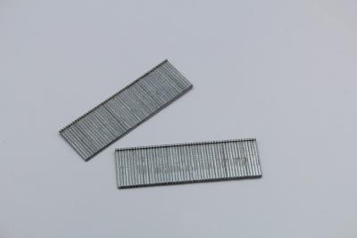 China 16 Gauge T Series Brad Nail 25mm Length 1.40mm Thickness Steel Finish Nail for Air Nailer for sale