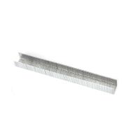China 20 Gauge Fine Crown Pneumatic Staple A11-12 1.25mm Width 0.50mm Thickness Steel for sale
