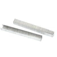 China 20 Gauge Fine Crown Pneumatic Staple A11-12 1.25mm Width 0.50mm Thickness Steel for sale