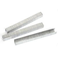 China 20 Gauge Fine Crown Air Staple A11-12 1/2in Length 10.80mm Crown for Pneumatic Staplers for sale