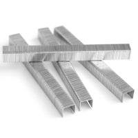 China 20 Gauge A11 Series Fine Crown Pneumatic Staple 10.80mm Crown 0.50mm Thickness for U-Type Nail for sale