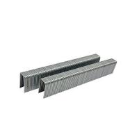 China 18 Gauge 90 Series Narrow Crown Staples 5.5mm Crown 1.25mm Width for Pneumatic Tools for sale