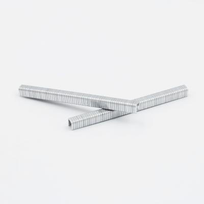 China Steel U-Type Nail 20 Gauge 406J Staples for Upholstery 4J Series 5.20mm Crown for sale