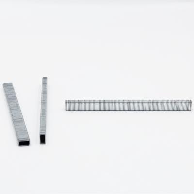 China 410J Galvanized Industrial Wire Staples 20 Gauge 5.20mm Crown for Fine Crown Stapler for sale