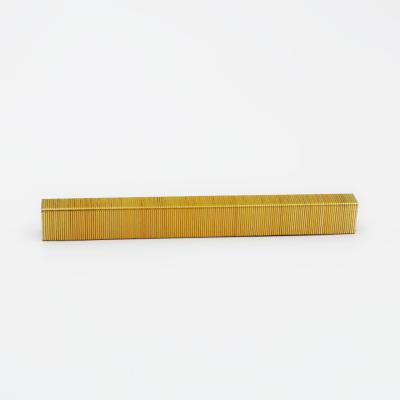 China 14 Series Steel Staples 22 Gauge 1/2 Inch Length for Upholstery Pneumatic Tools for sale