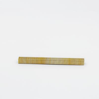 China 14 Series Galvanized Industrial Wire Staples 20 Gauge 9/16 Inch Length 10.10mm Crown for sale