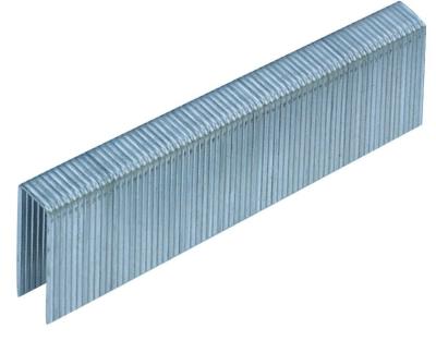 China Staple Pneumatic Staple 16 Guage 1/2
