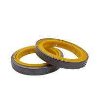 China Framework rubber Oil Seal DKB DKBI Dki DWI Seal Polyurethane Seal Manufacturer for sale