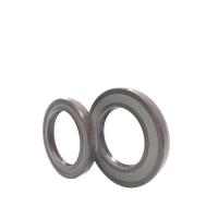 China Customize Size Nbr Power Steering Oil Seal Fkm Fpm Epdm Tcv Tcn Tcm Tc Rurbber Oil Seal for sale