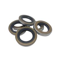 China Oil Seal TC TB type Nbr Fkm Rubber Oilseal High Temperature Oil Seal for sale