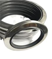 China PTFE Air Compressor Oil Seal Single Lip Double Lip Triple Lip Stainless Steel Seal for sale