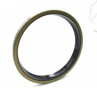 China Hydraulic Cylinder Excavator Rubber Seal Dust Wiper Seal DKB DKBI DLI for sale