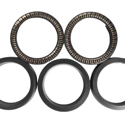 China Spring energized PTFE rotary shaft seal for sale