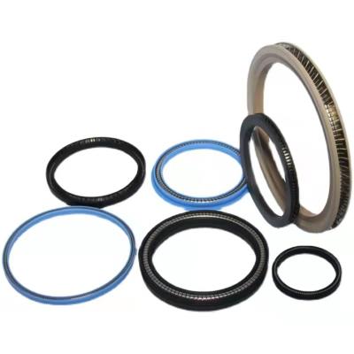 China seal professional manufacturer spring energized PTFE lip seal Spring seal for sale