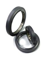 China Factory Free Sample Spring Energized PTFE Seals For Oil&Gas Equipment for sale