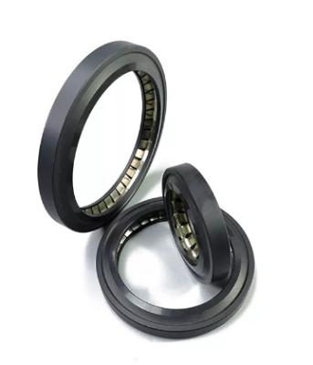 China Spring Energized PTFE Rod Seal for Pumps for Hydraulic Rod for sale