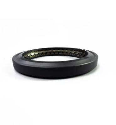 China Rubber spring energized seals/ptfe seal/ seal for sale
