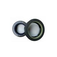 China Combi Shaft skeleton Oil Seal NBR/FKM Material Mechanical Seal for sale