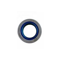 China Combi Shaft skeleton Oil Seal NBR/FKM Material Mechanical Seal for sale