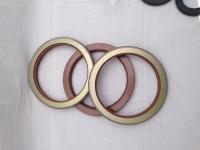 China Quality manufacturer TCN High Pressure Oil Seal for sale