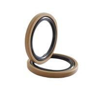 China Excavator Hydraulic Cylinder Piston Seals Glyd Ring Compact Seals Rings for sale