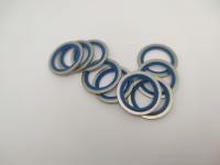 China Spring-Loaded Oil Seals for Constant Pressure on Shaft and Contaminants Entry Bonded oil seal for sale