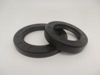 China Rubber Oil Seals with High Temperature Resistance and Excellent Compatibility with Various Fluids TC seals for sale