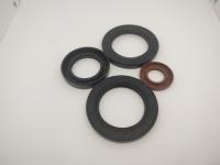 China Hiah-Temperature Resistant PTFE-Coated Oil Seals for Exceptional Chemical Resistance and Reduced Friction TC Seal for sale