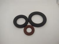 China Hiah-Temperature Resistant PTFE-Coated Oil Seals for Exceptional Chemical Resistance and Reduced Friction TC Seal for sale